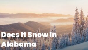 Does It Snow In Alabama? – Hosted Weather