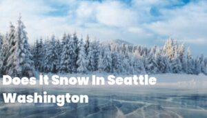 Does It Snow In Seattle Washington? – Hosted Weather